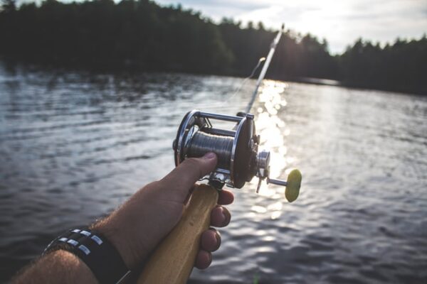 Clickbait Headlines: Formulas That Actually Work